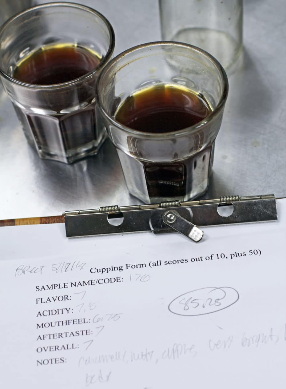 Cupping and Scoring Coffee - Cafe Altura